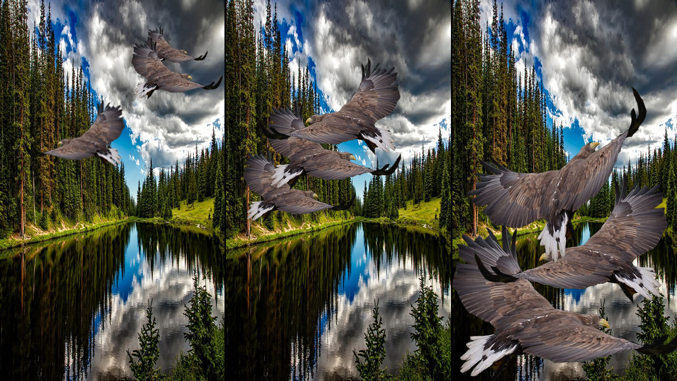 Assignment 3- Space – D'Alishawn